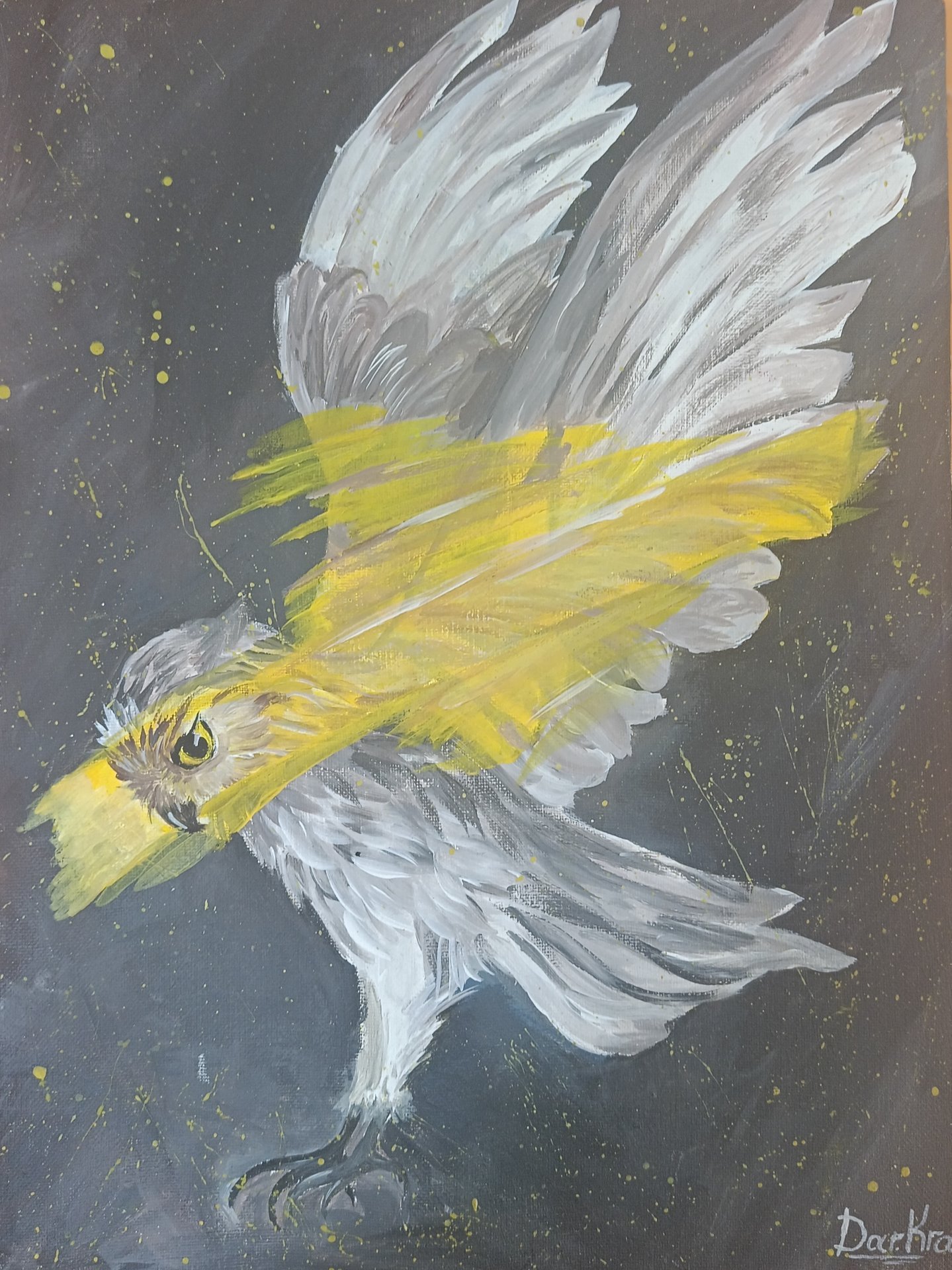 Flight of Fantasy and Light Painting by Dar.K.