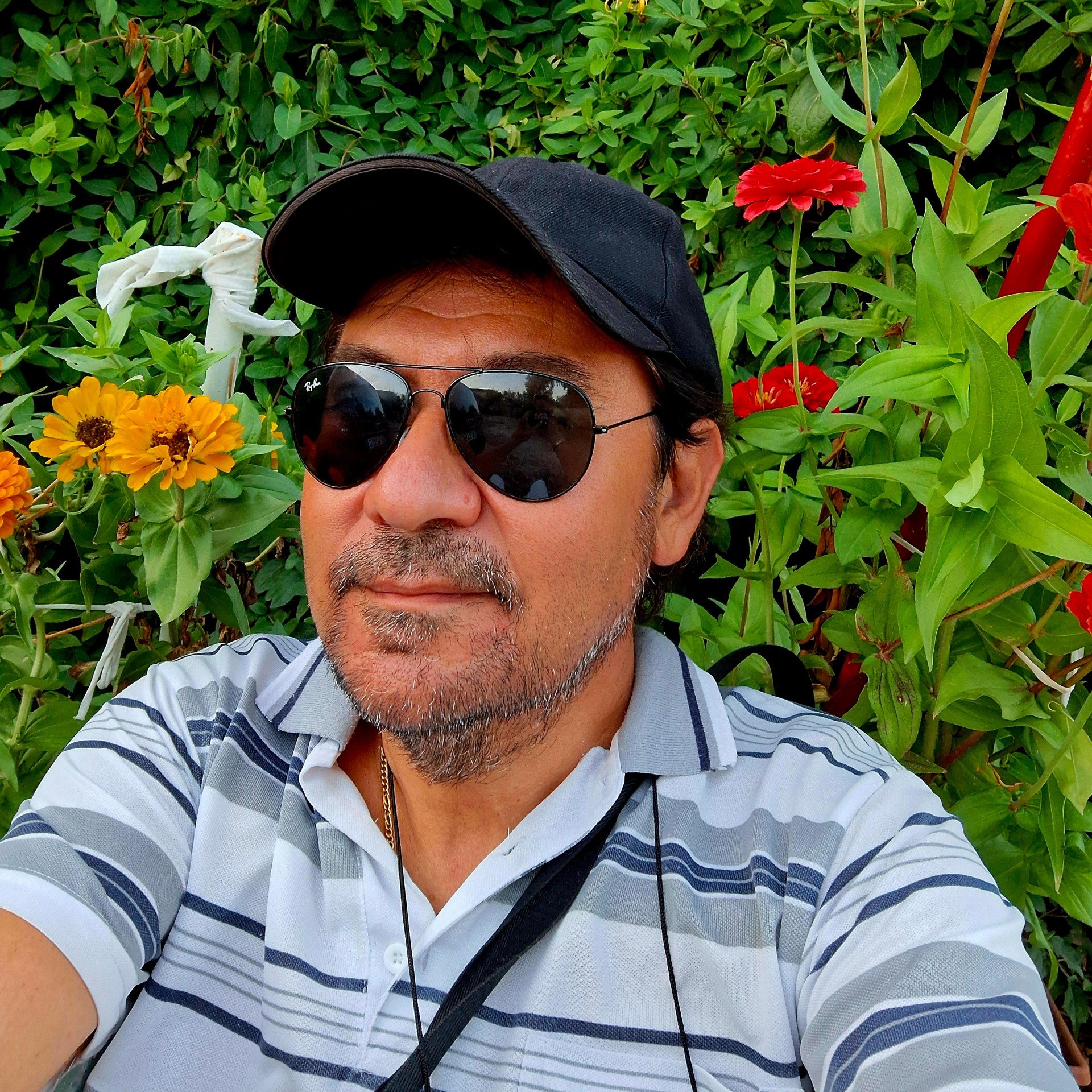 Massimo Scaglioni: Artist - Jose Art Gallery