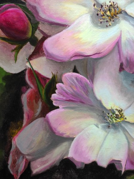 Wild Roses Bloom 2024 Painting by Mykola Volchko