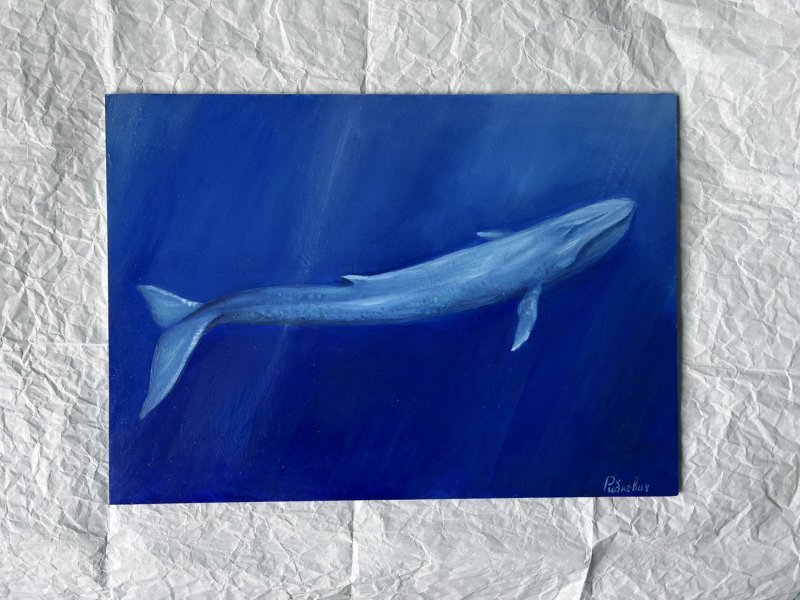 Blue Whale in Deep Ocean Painting by Stepan Ribkevich