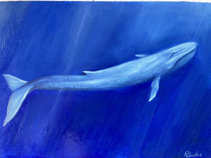 Blue Whale in Deep Ocean Painting by Stepan Ribkevich