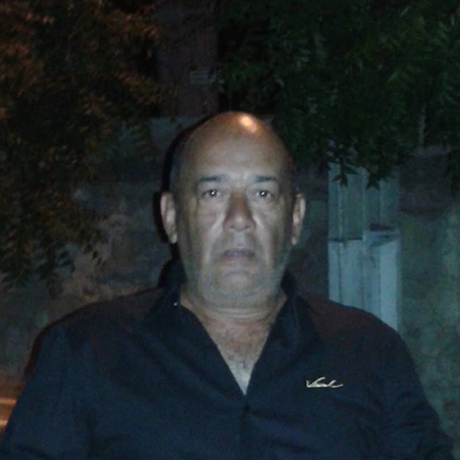 Aderson Araújo: Artist - Jose Art Gallery