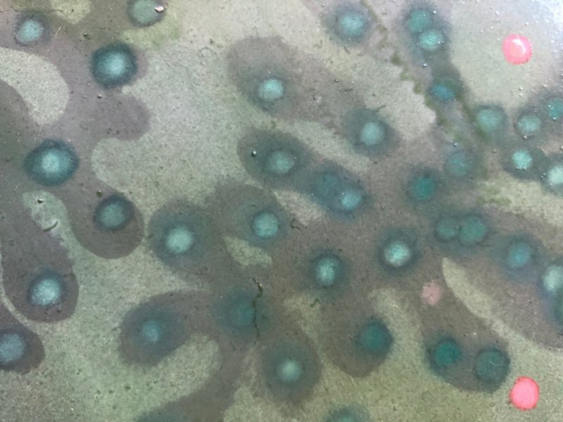 Old woman II Painting by Hyemi Cho - Jose Art Gallery