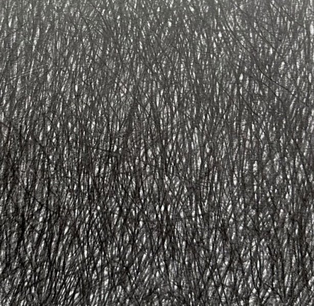 MAGICAL RITUAL 5 Drawing - Gleb Skubachevsky