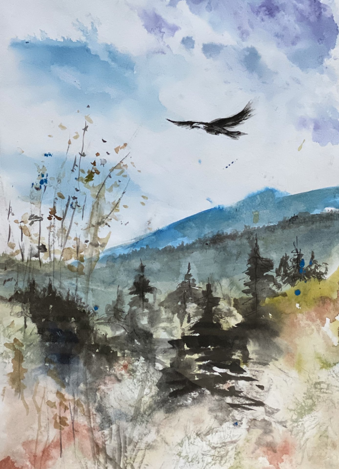 Flight Drawing - Vera Minina - Jose Art Gallery