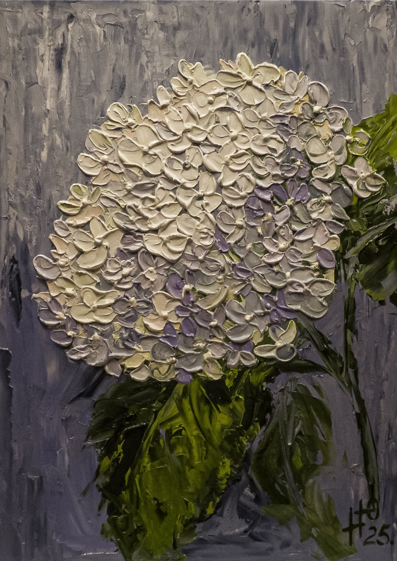 White Hydrangea Drawing - YULIIA NOVIKOVA - Jose Art Gallery