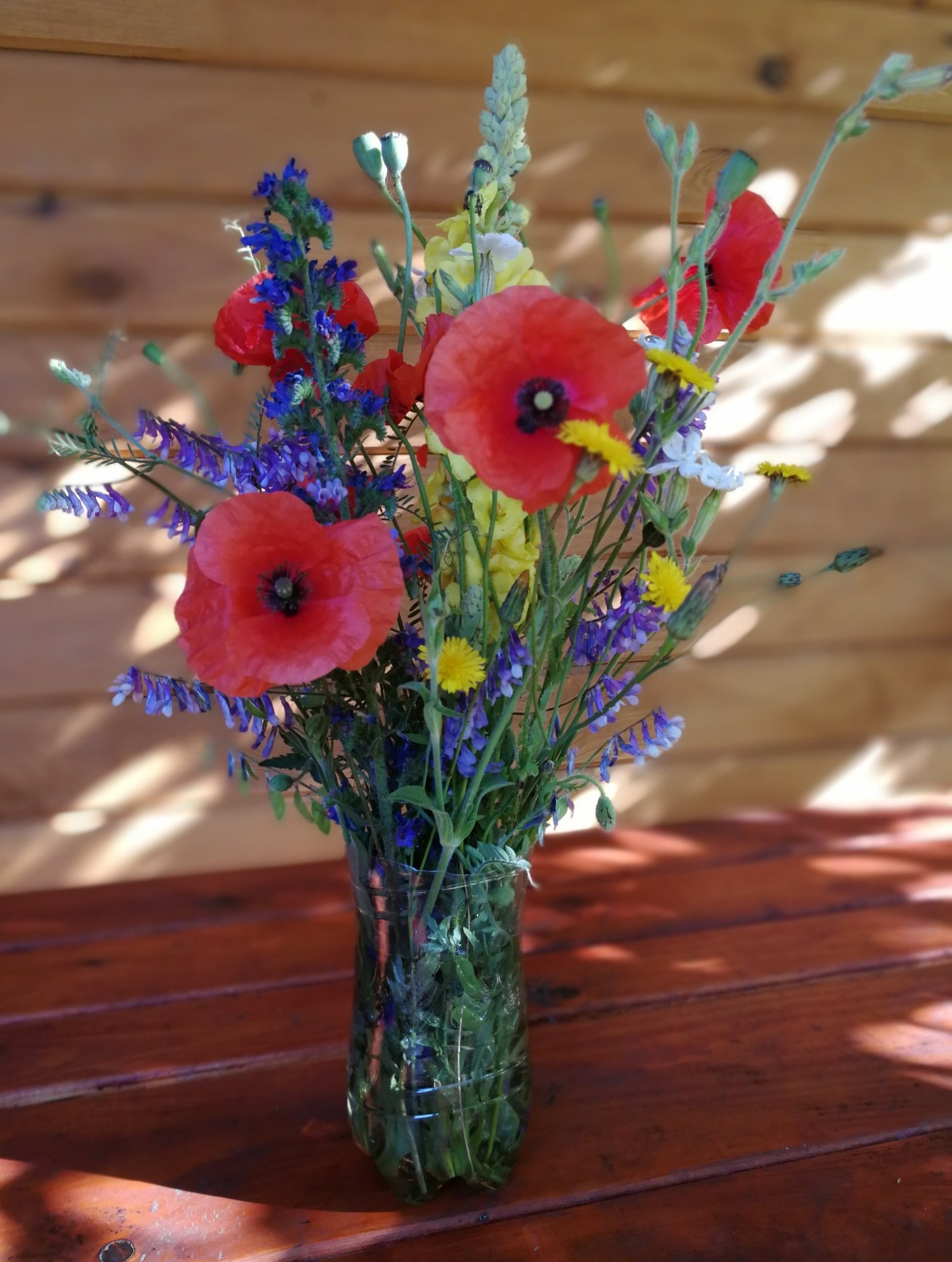 Field bouquet. Photography - Vitalii Kernozenko