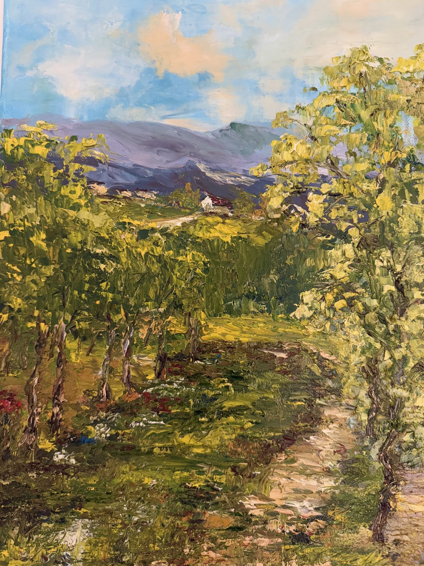 Vineyard Drawing - Andriy Ankossi - Jose Art Gallery