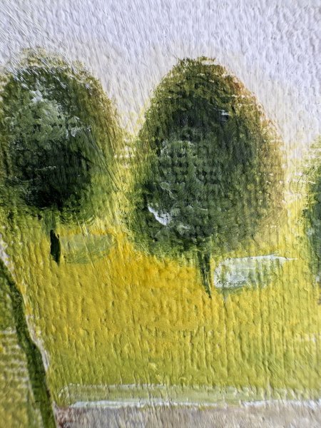 Sunny avocado Painting by Kseniya Rovenec - Jose Art Gallery