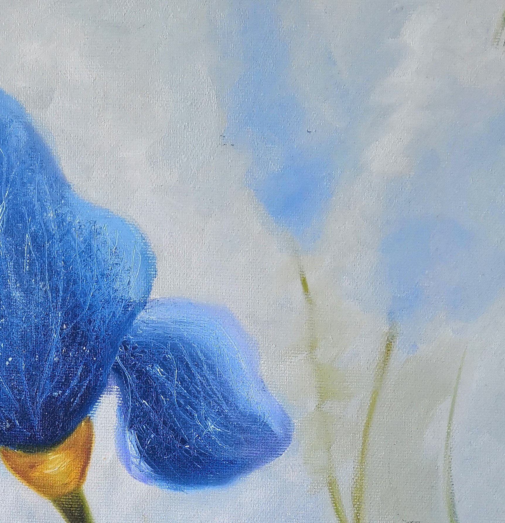 Blue Iris, flowers Painting by Ludmila Riabkova - Jose Art Gallery