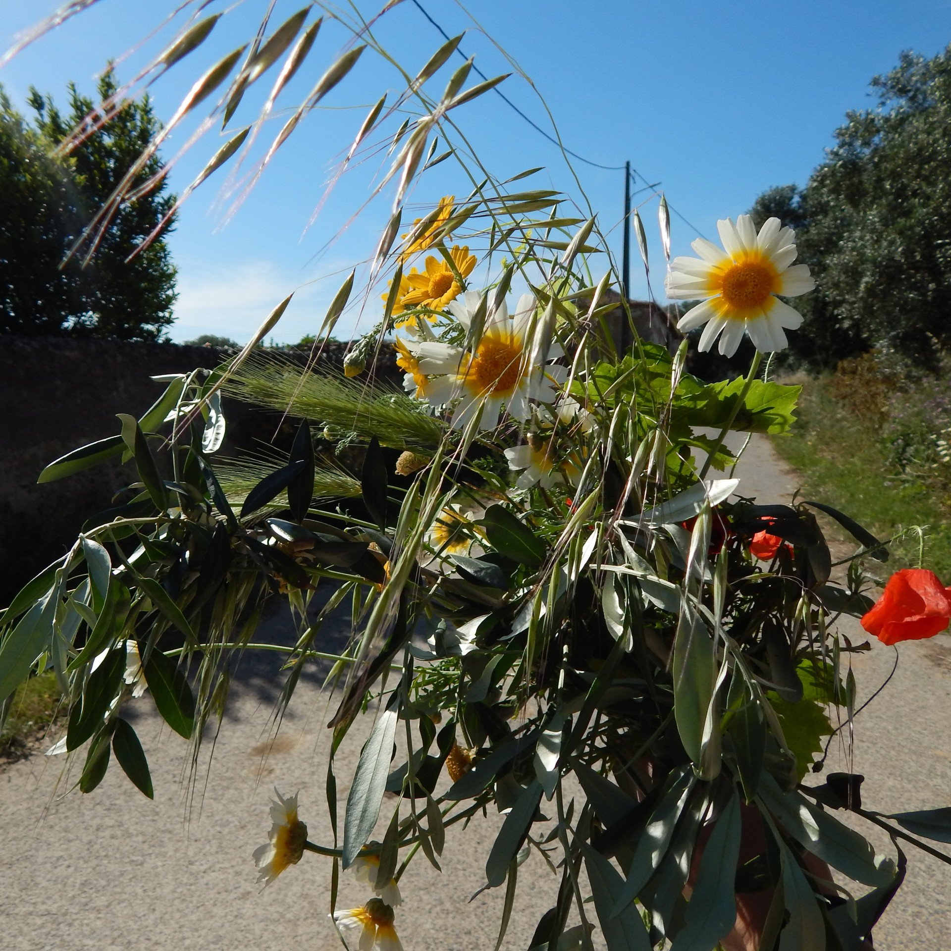 Hel: Künstler/-in - Jose Art Gallery