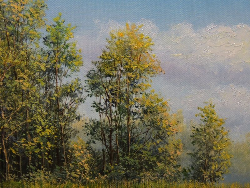Tranquil Lake Reflection Nature Scene Painting by Oleg Riabchuk