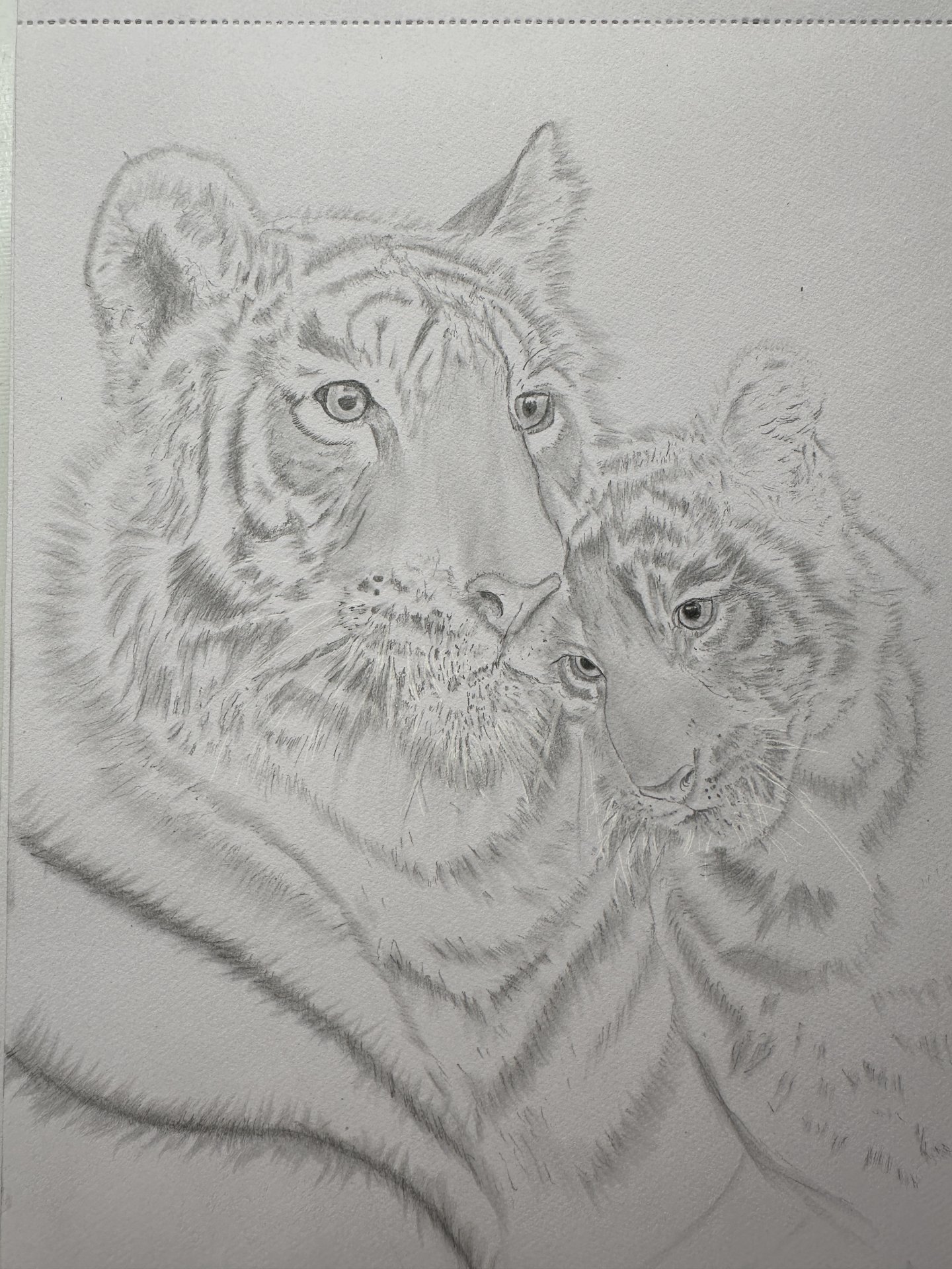 Tiger mother Painting by Babsy - Jose Art Gallery