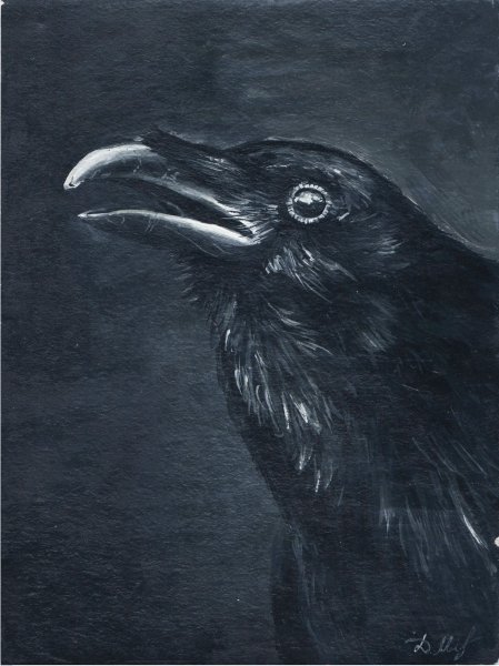 Raven Painting by Bohdana Minkina - Jose Art Gallery
