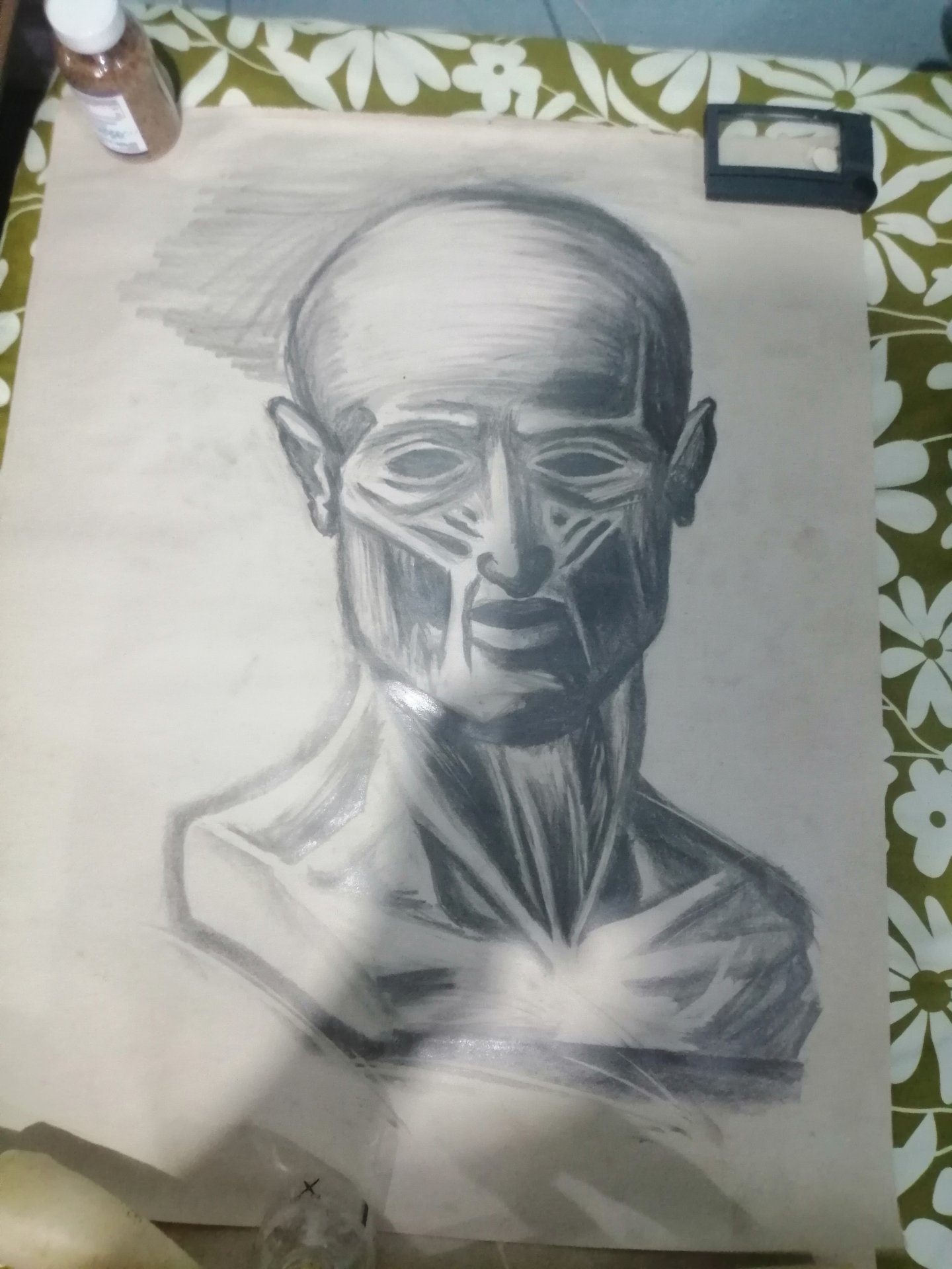 Anatomy study 2 Digital Art - Dragoons - Jose Art Gallery