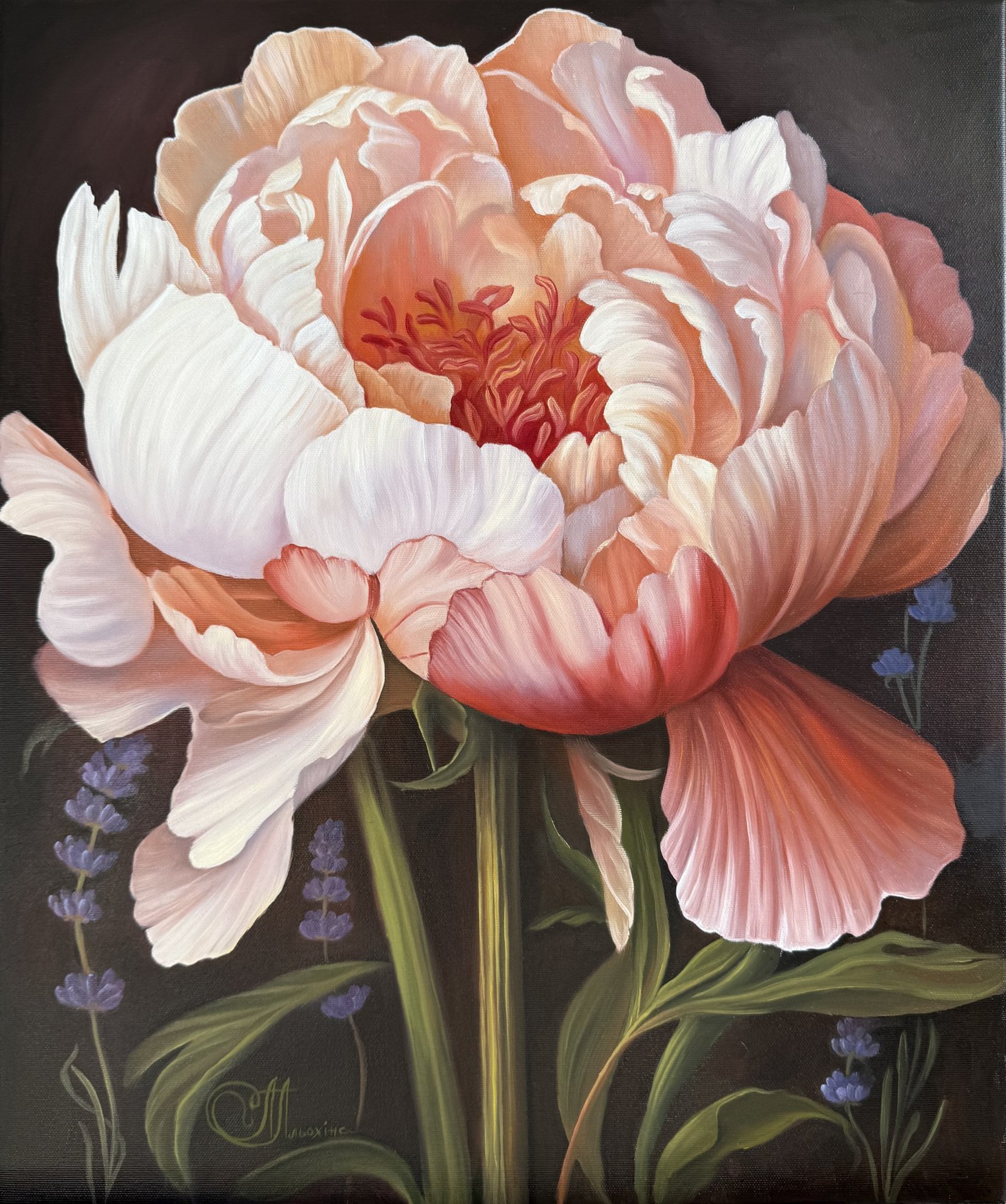 Charming peony Painting by Anastasia Alekhina