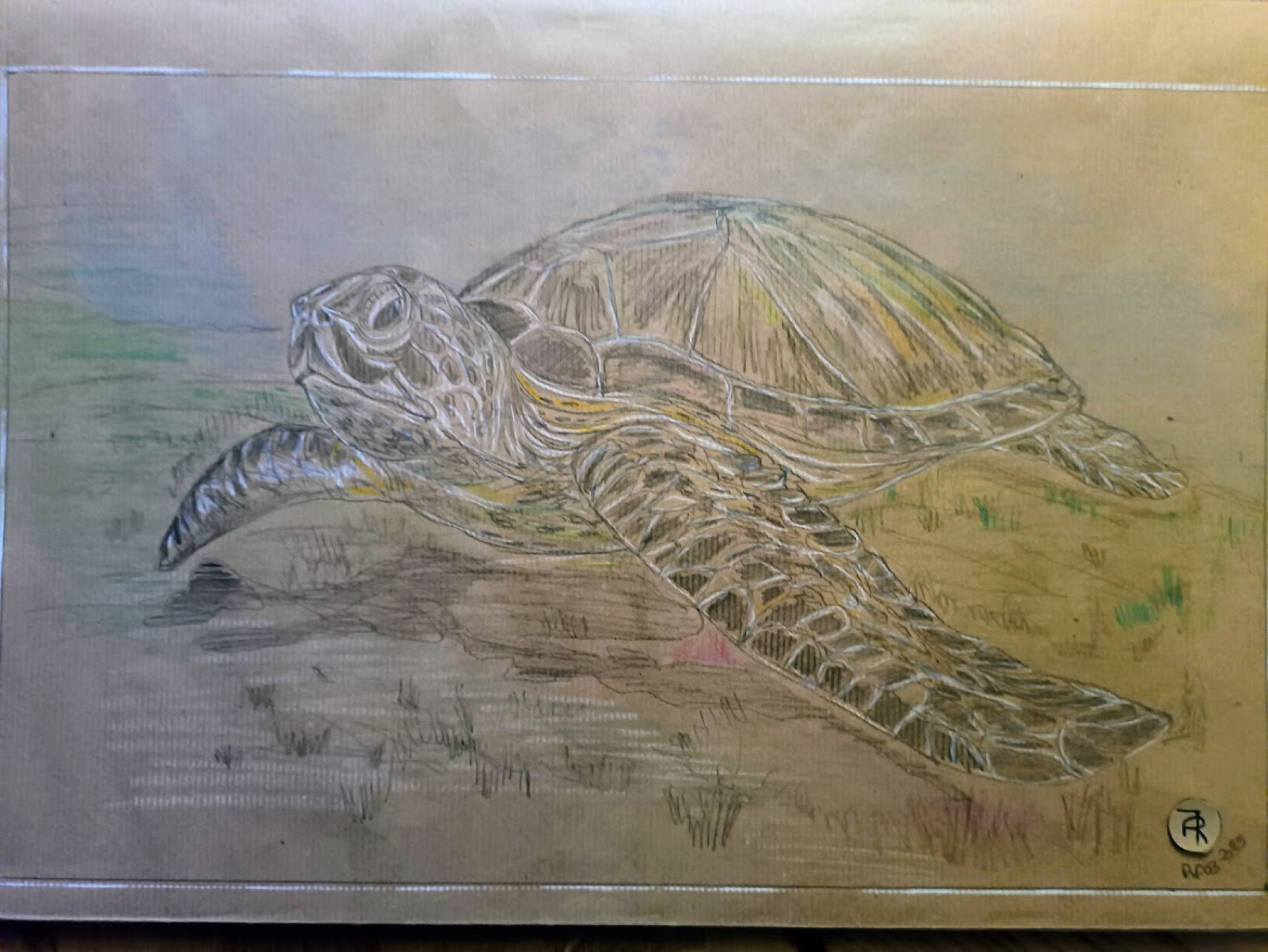 Ocean and Longevity: Giant Turtle in Art Drawing - roberto ferrando