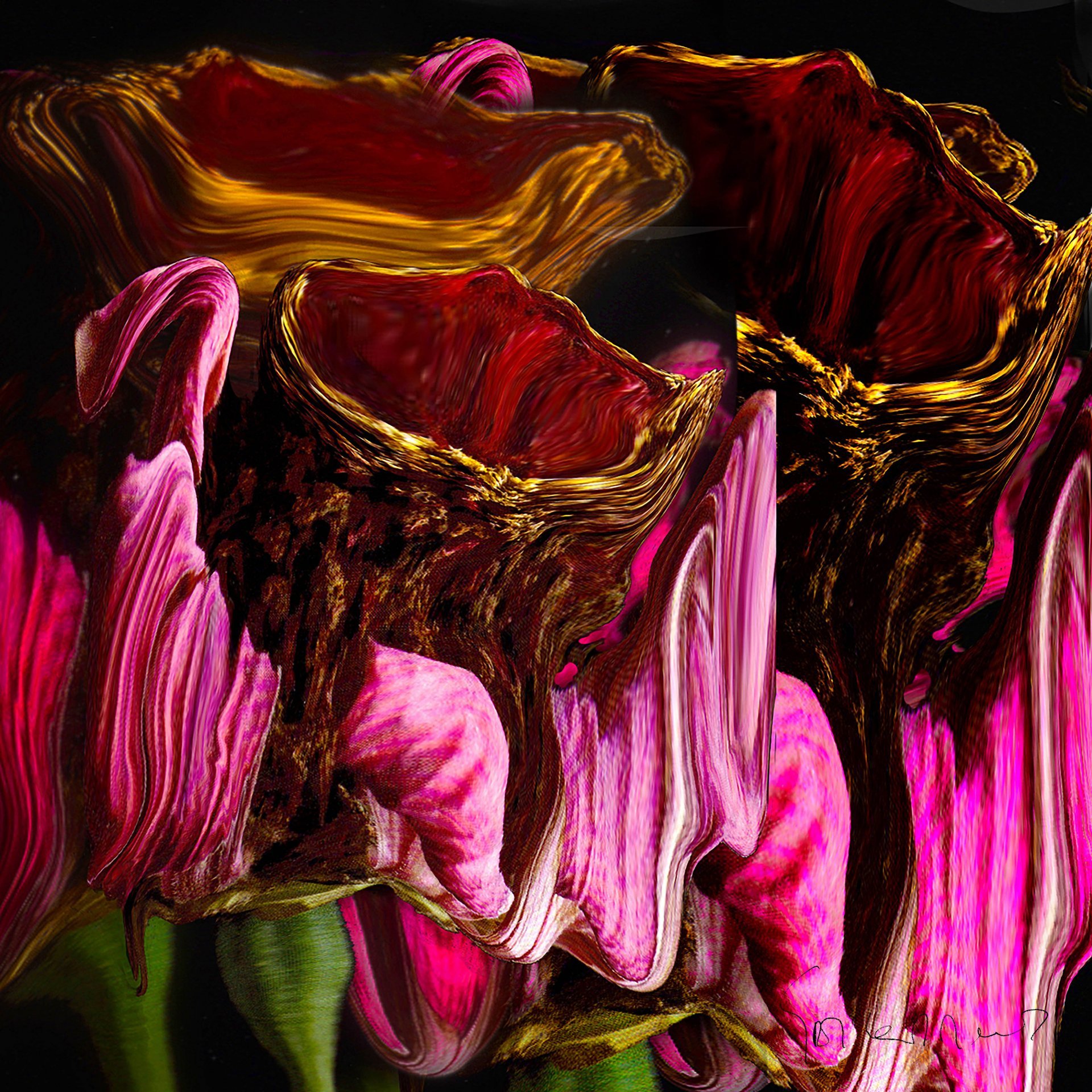 Golden calyx flower Photography - Geert Lemmers