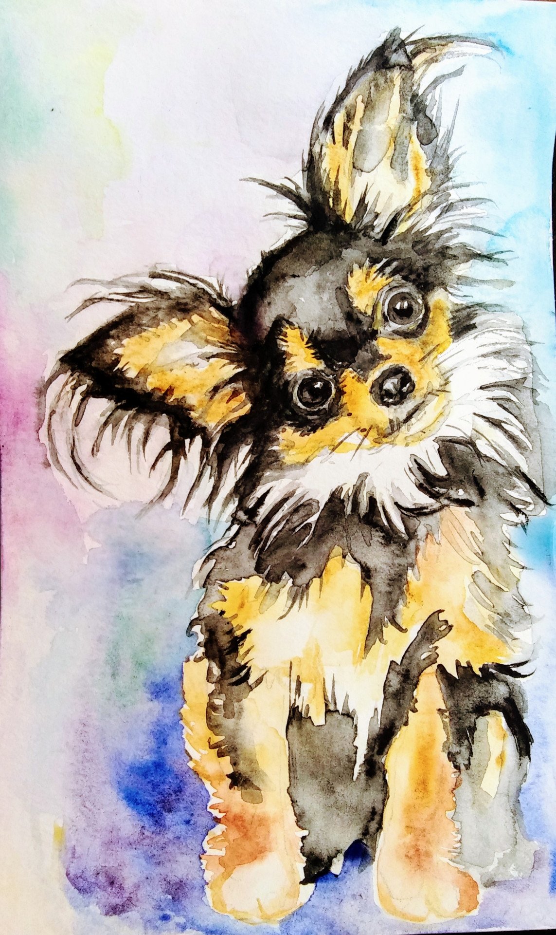 Retrato de perro chihuahua Pintura de Daniela Vasileva