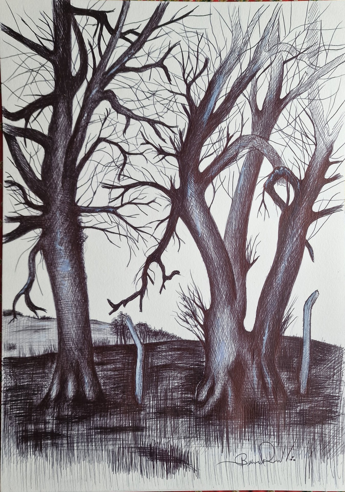 Tree: An intimate sketch of nature Painting by bernardino