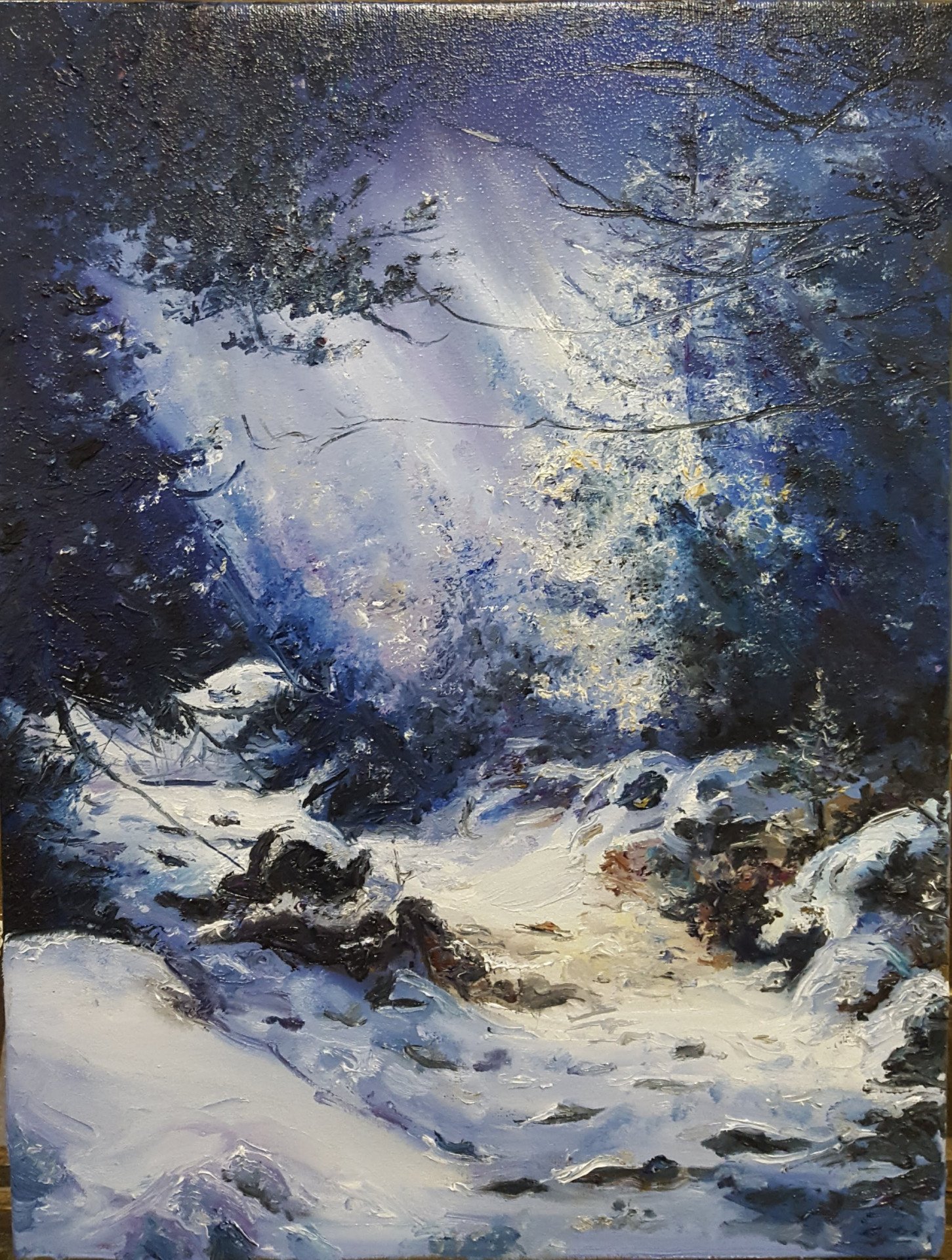 Winter fairy tale Painting by Natali Diduh