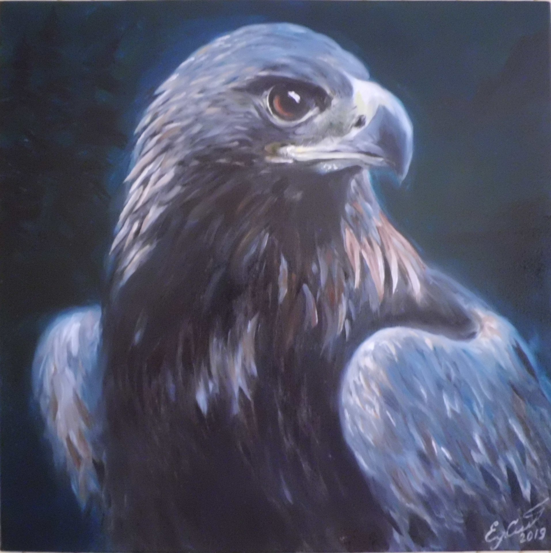 Eagle - All-Seeing Eye Painting by Eduard Silenko