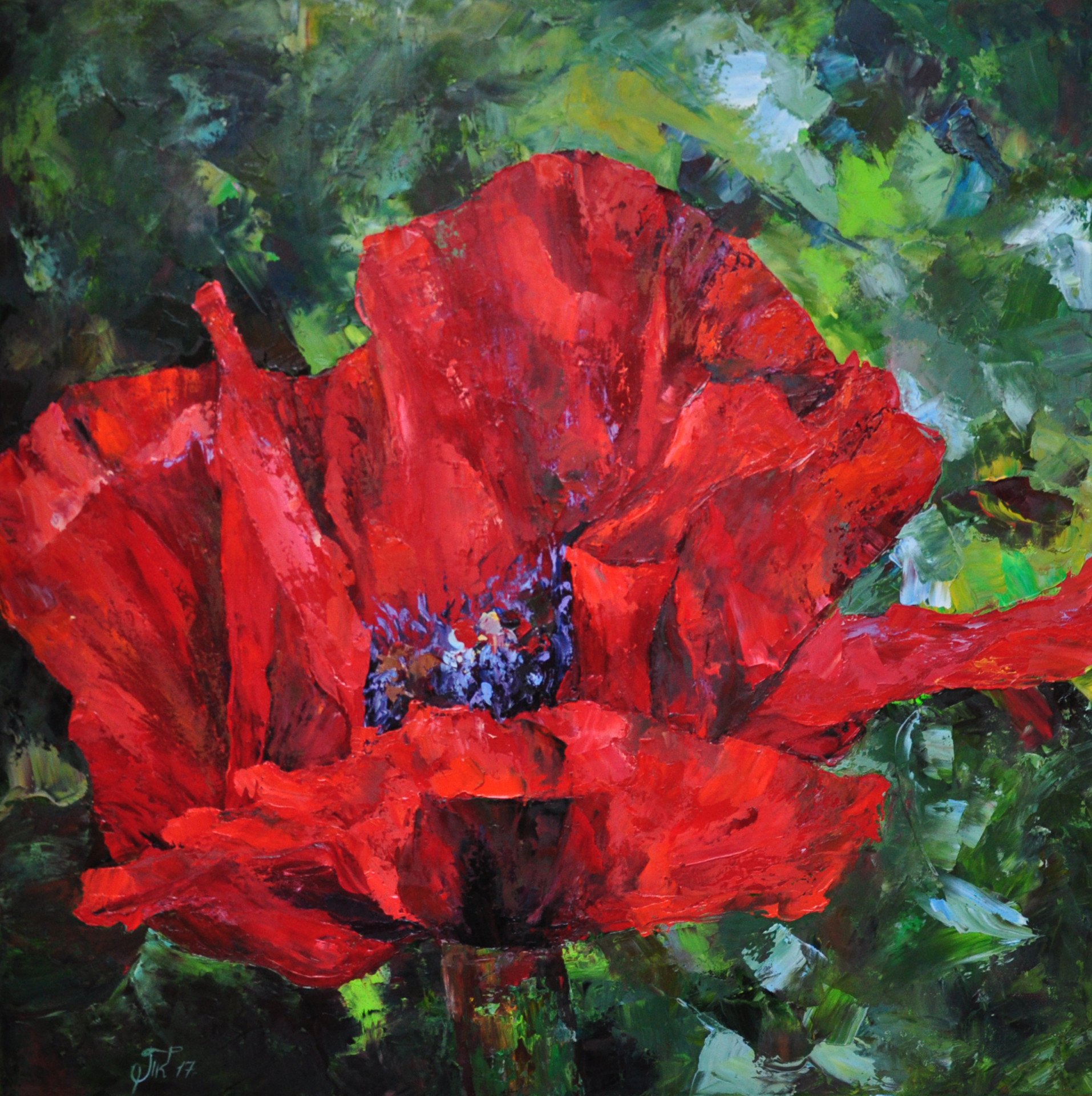 Poppy Painting by Tetiana Korol' - Jose Art Gallery
