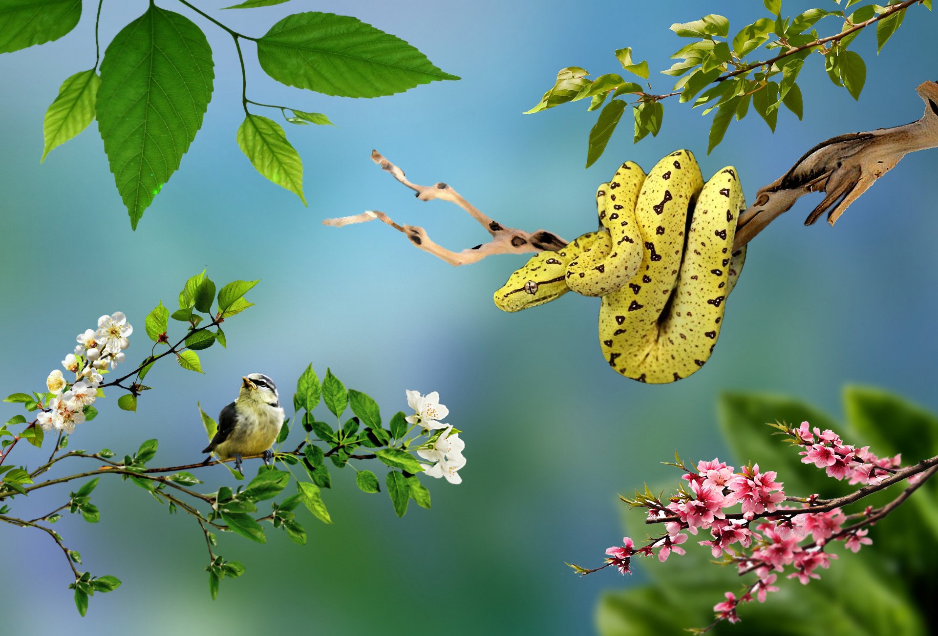 Bird on a branch and a snake Photography - Radiy Sivak