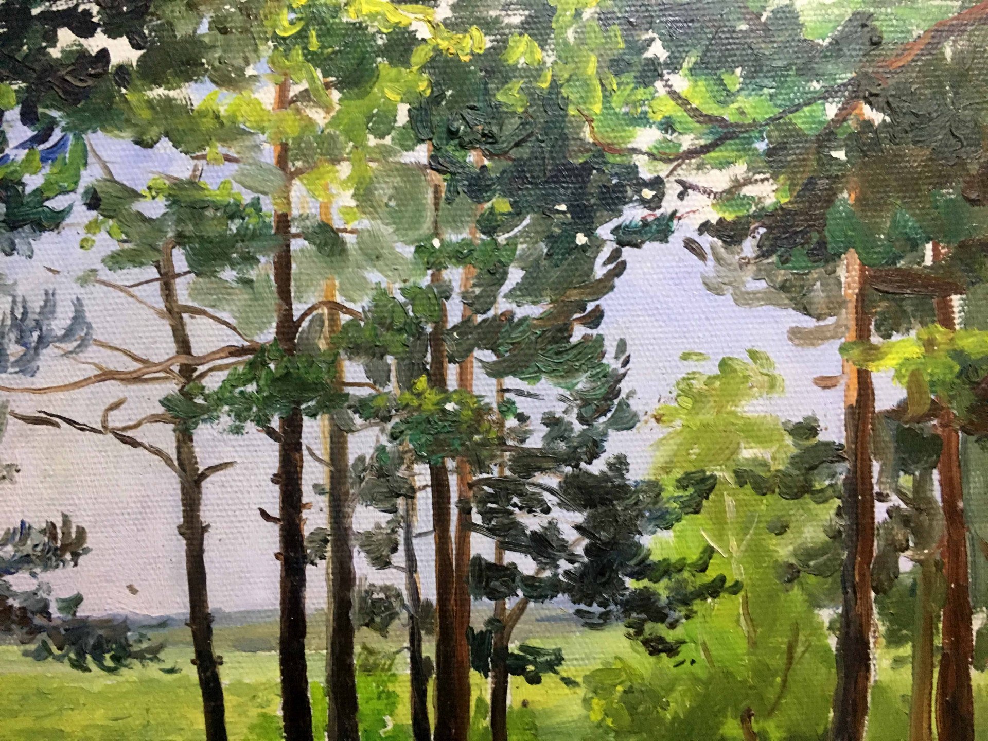 Oil painting Summer nature Painting by Andrii Zhyvodorov