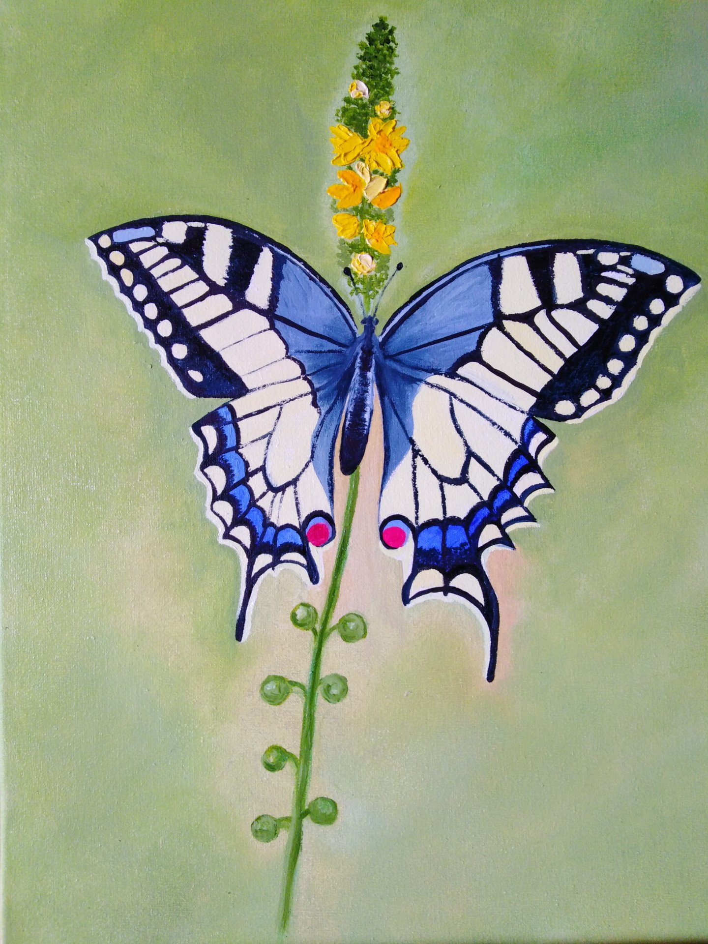 Blue butterfly Painting by Natalia Adamenko