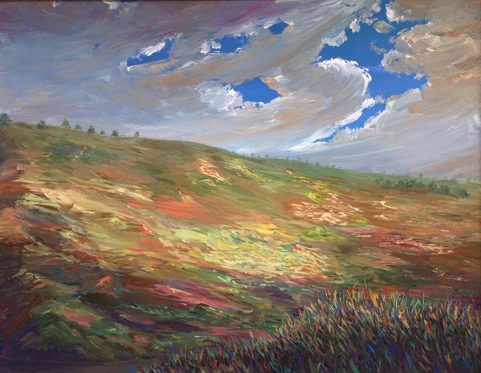 Rain Approaches Drawing - Jeffrey L. Schult