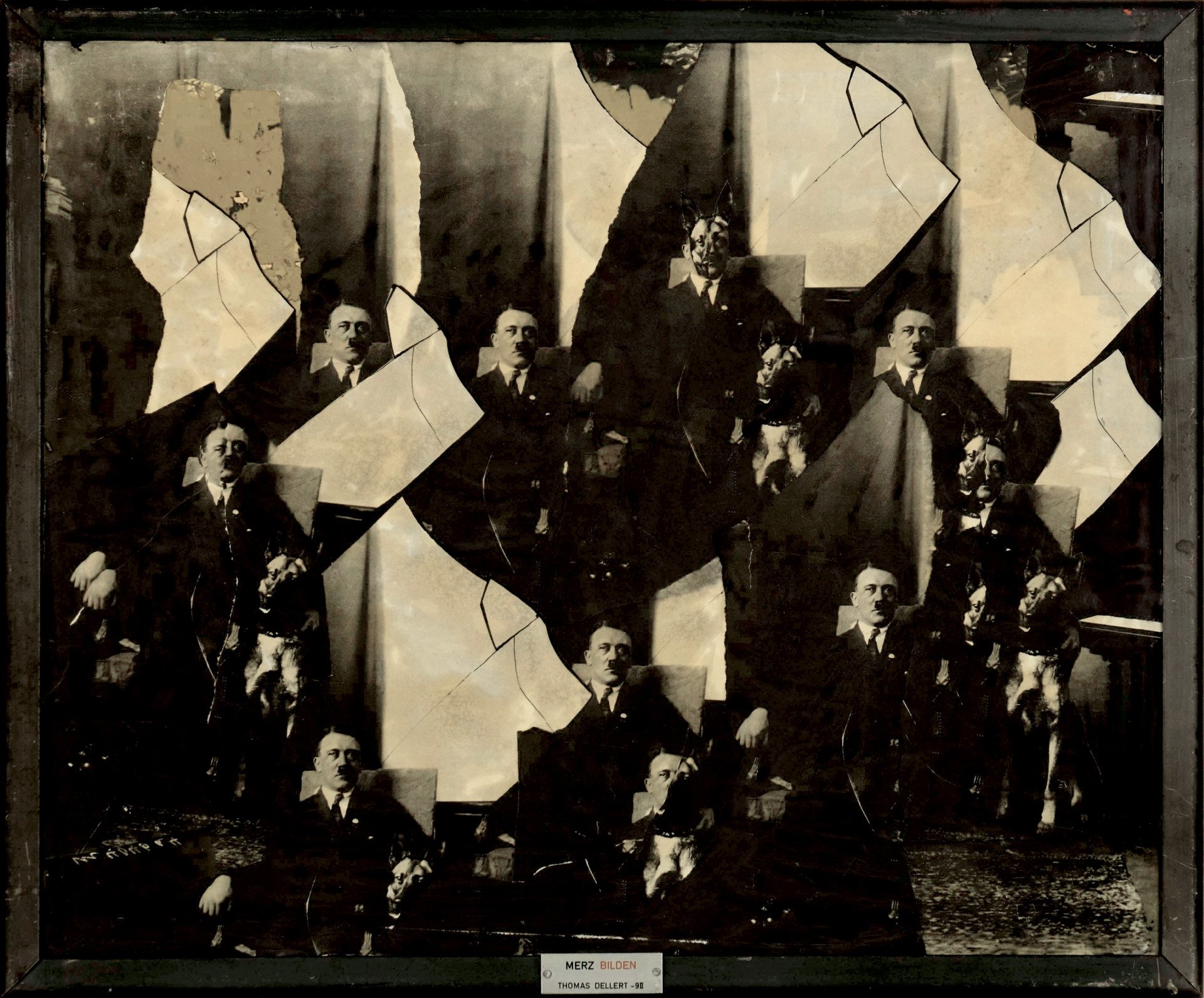 Merz Bilden - Wolf and Dog Photography - Thomas Dellert