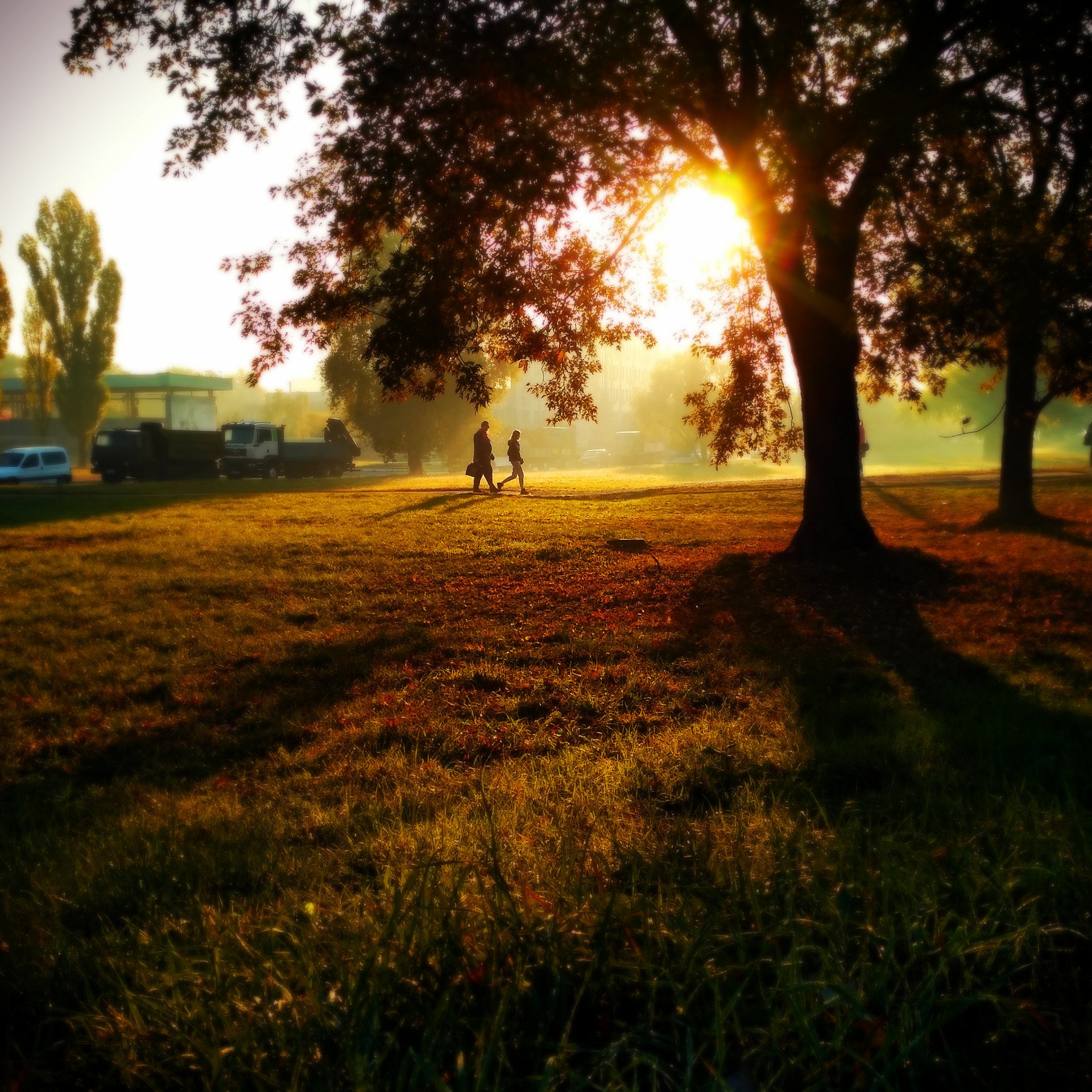 Happy morning Photography - Kostiantyn Baran