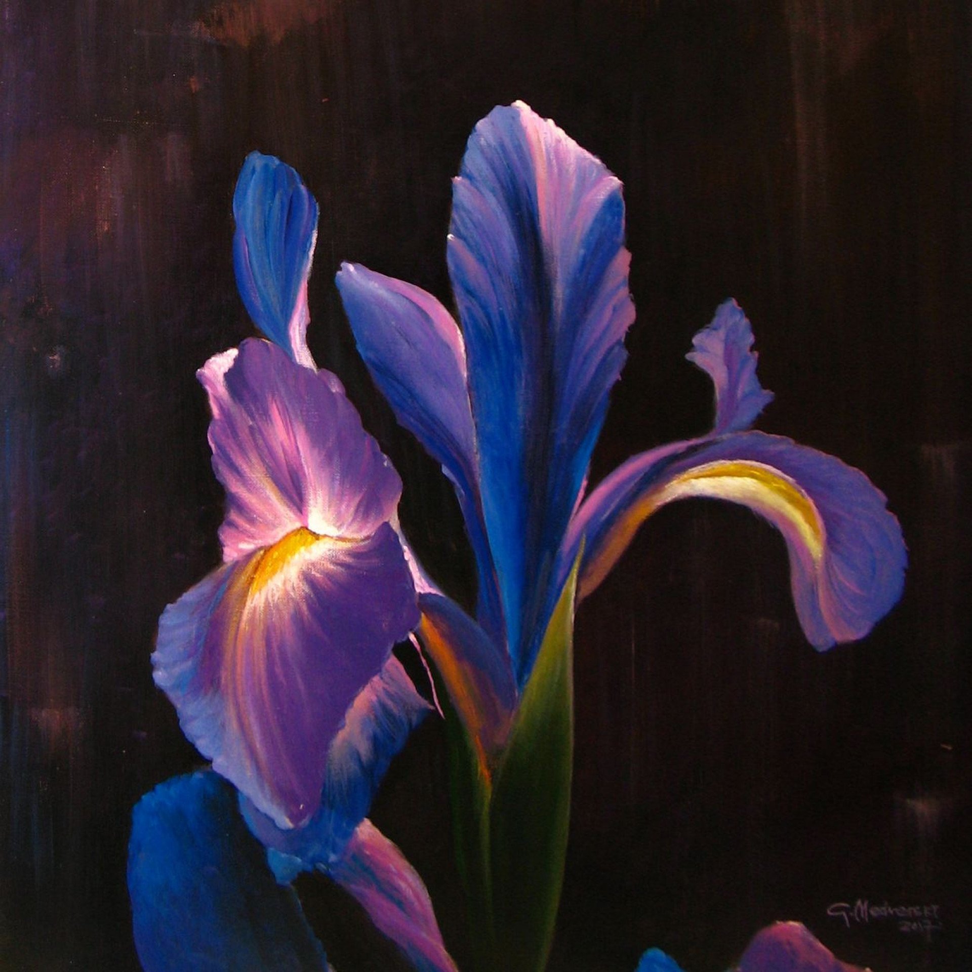 Iris Peinture de German Medveckiy - Jose Art Gallery