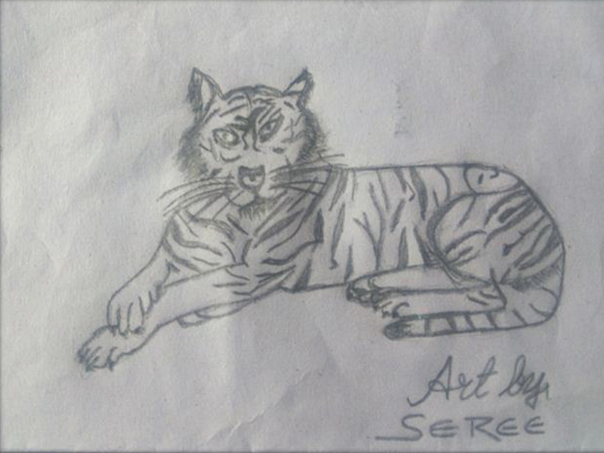 Life of Person Inside Tiger Drawing - Sreedhar Eligala