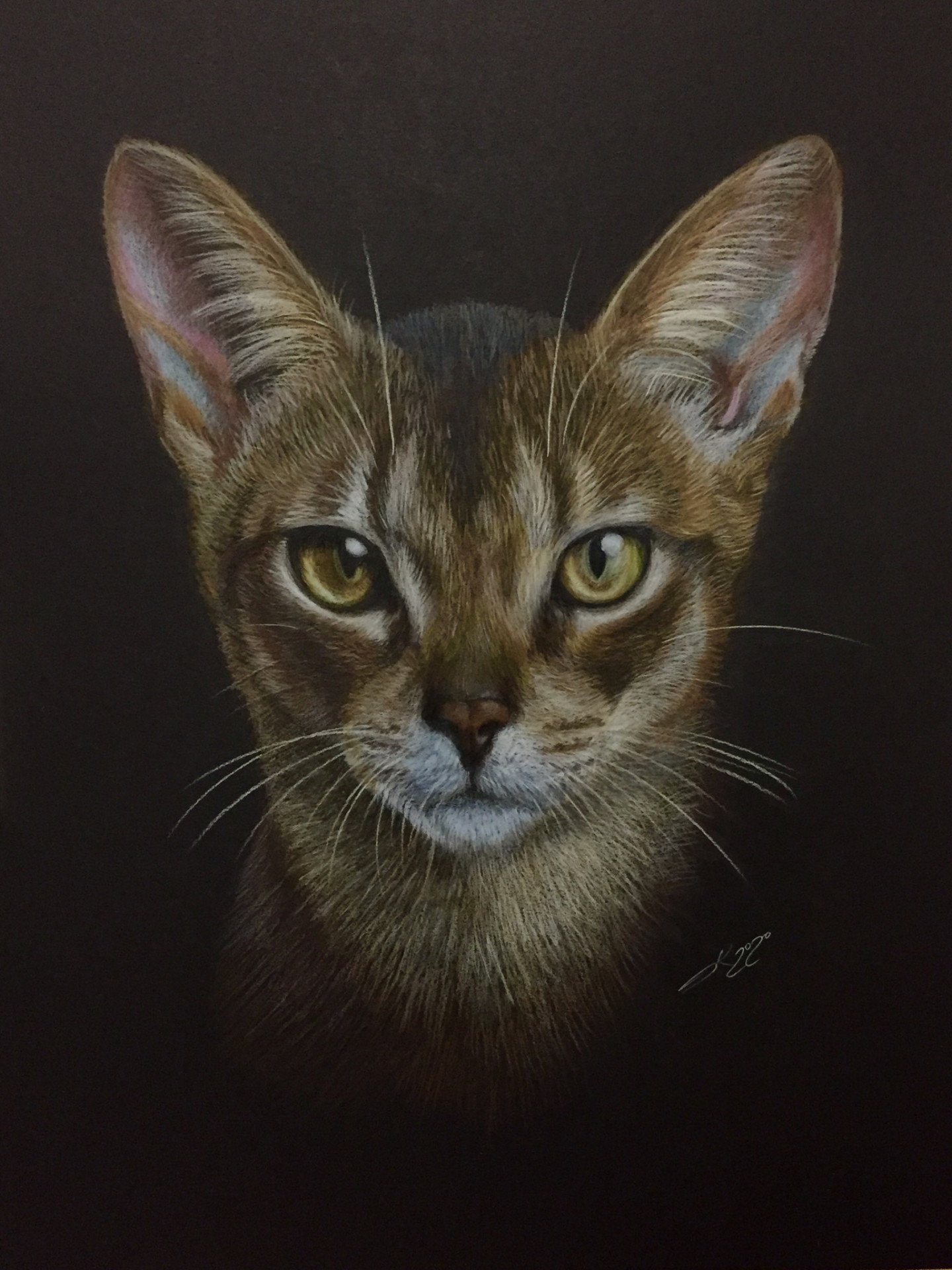 Elegance Drawing - Evgen Karpenko - Jose Art Gallery