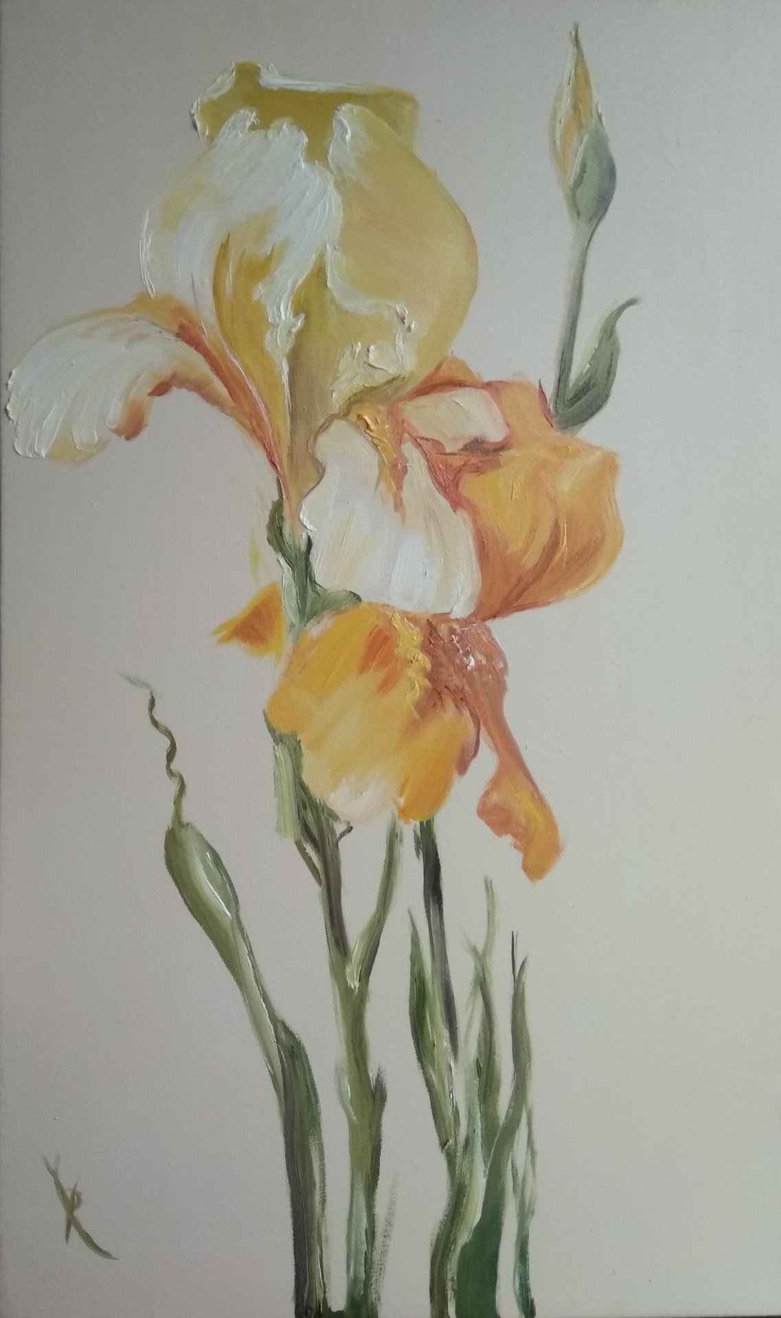 Yellow Irises Painting by Valeria Radzievska - Jose Art Gallery