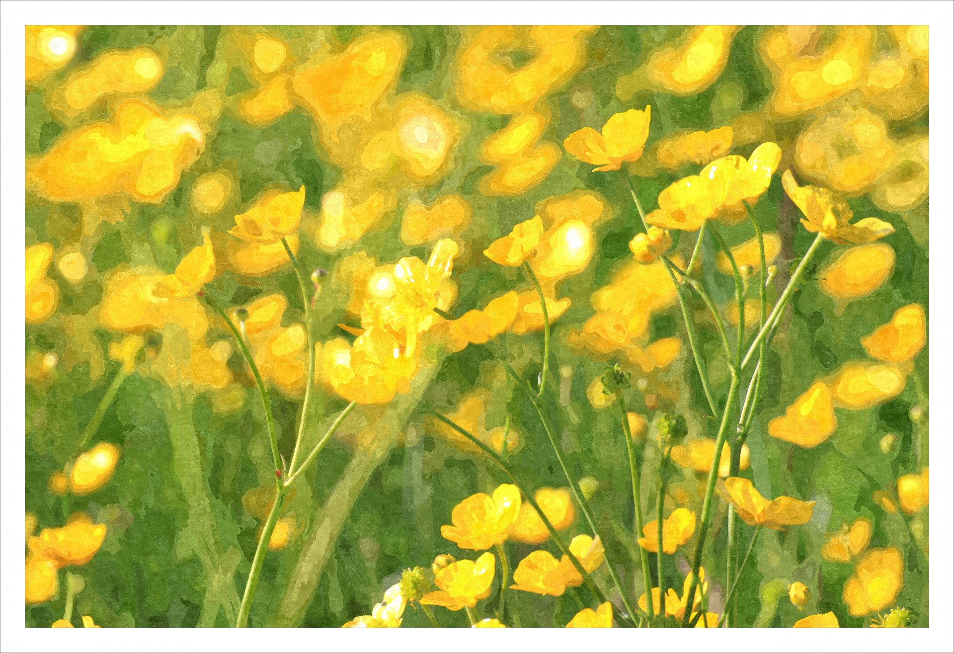 Yellow Heaven Painting by DAVID LACEY - Jose Art Gallery