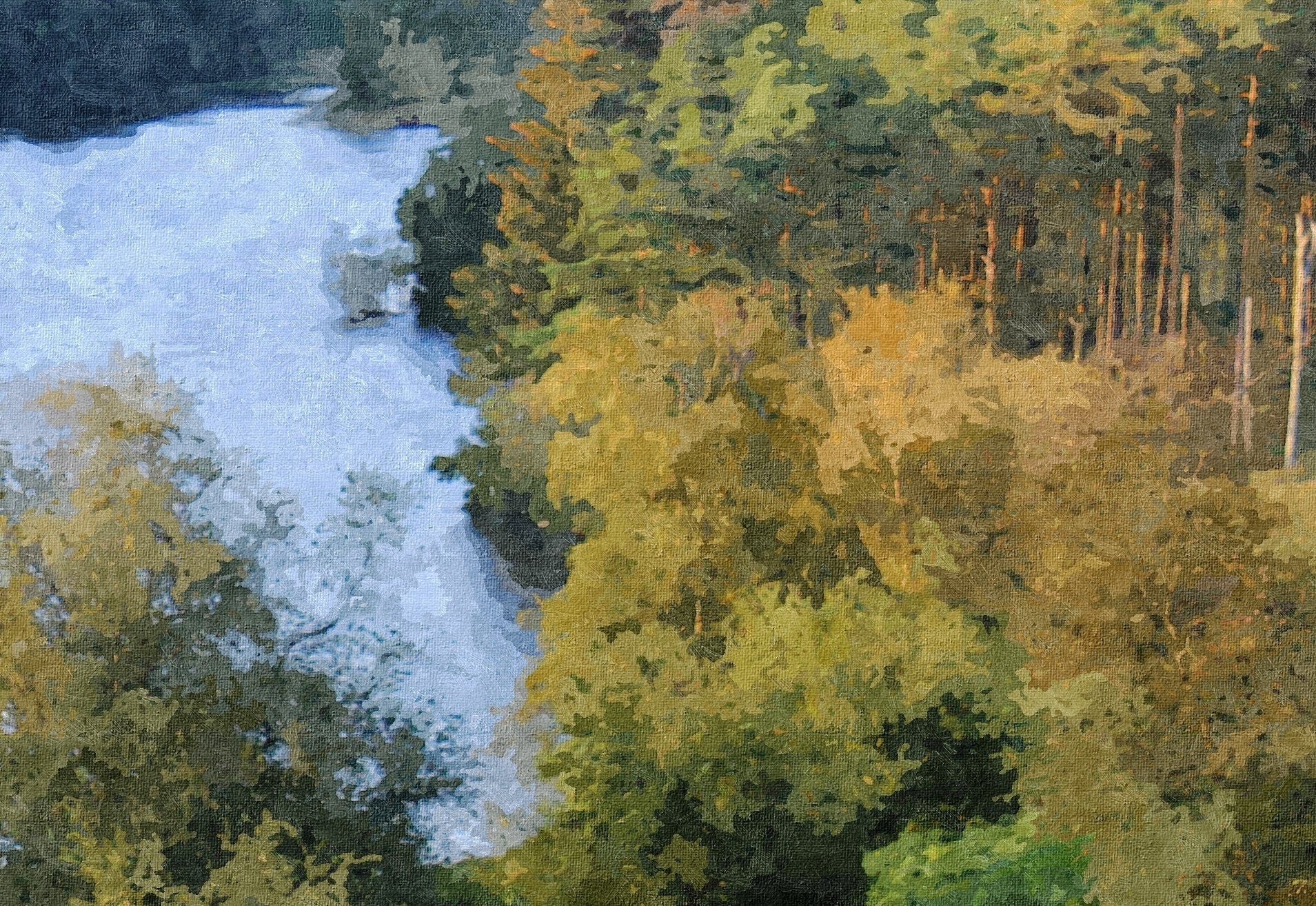 Mountain Forest Photography - DAVID LACEY - Jose Art Gallery