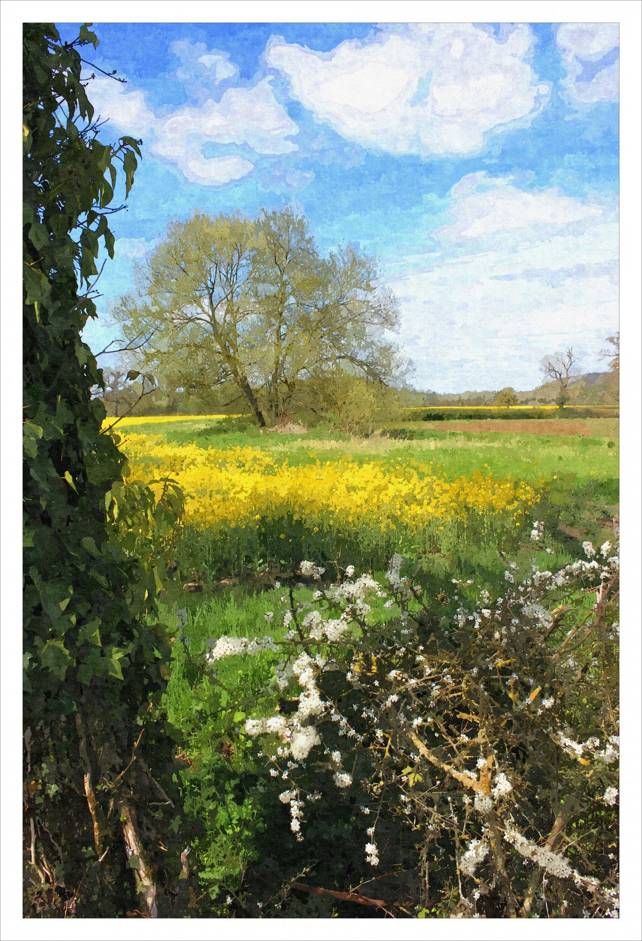 Spring Walk Drawing - DAVID LACEY - Jose Art Gallery