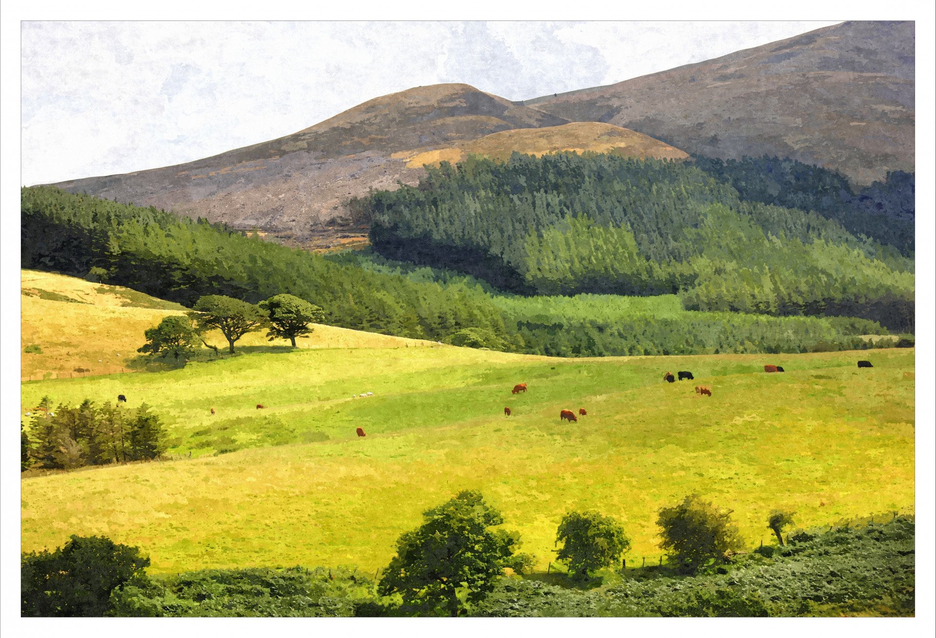 Green Hills Photography - DAVID LACEY - Jose Art Gallery