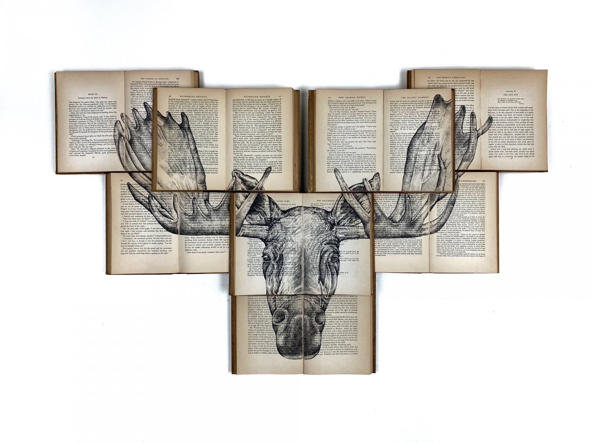 Great Danes (Moose) Drawing - Megan Serene