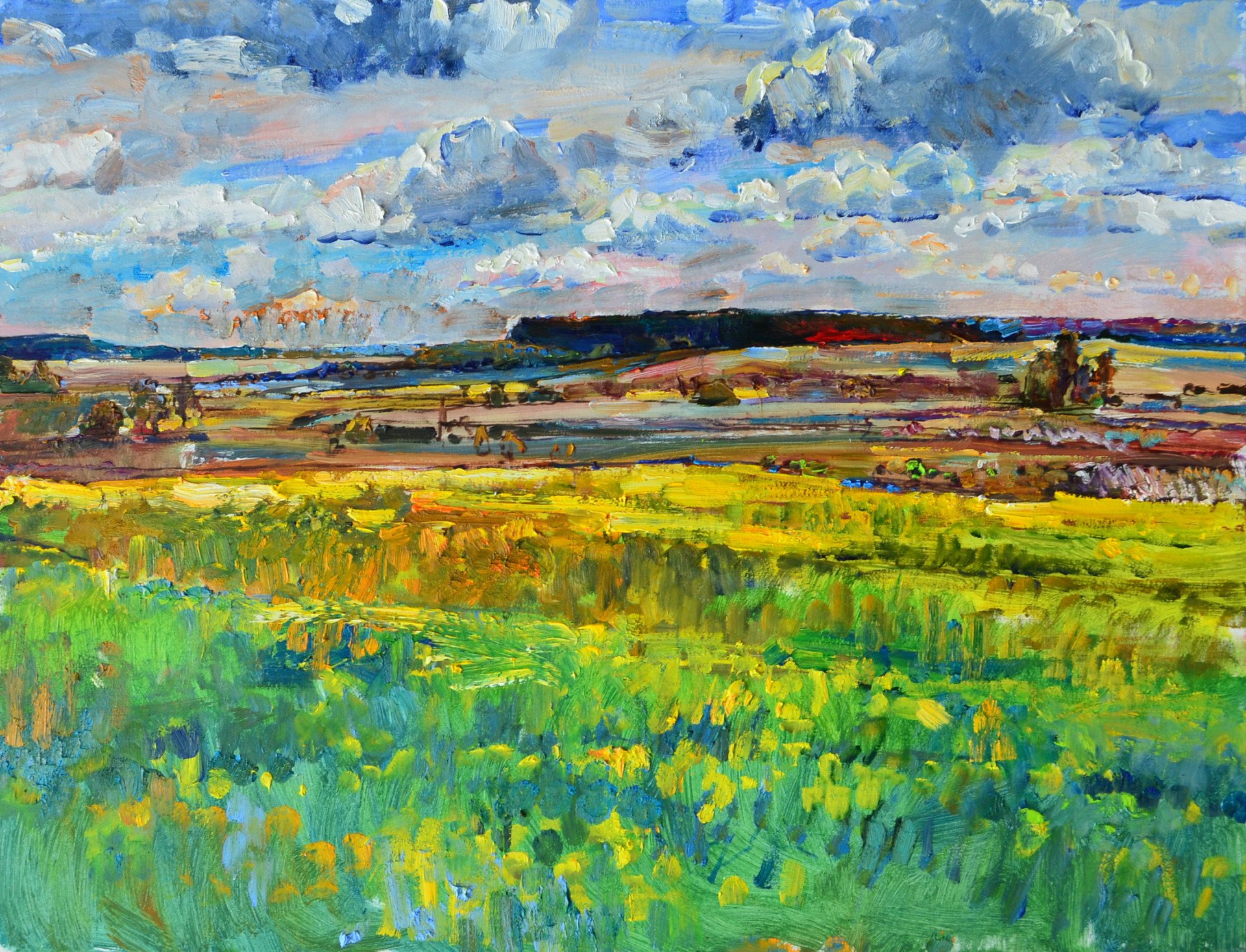 Original oil landscape bloomin Drawing - Andrii Kutcachenko