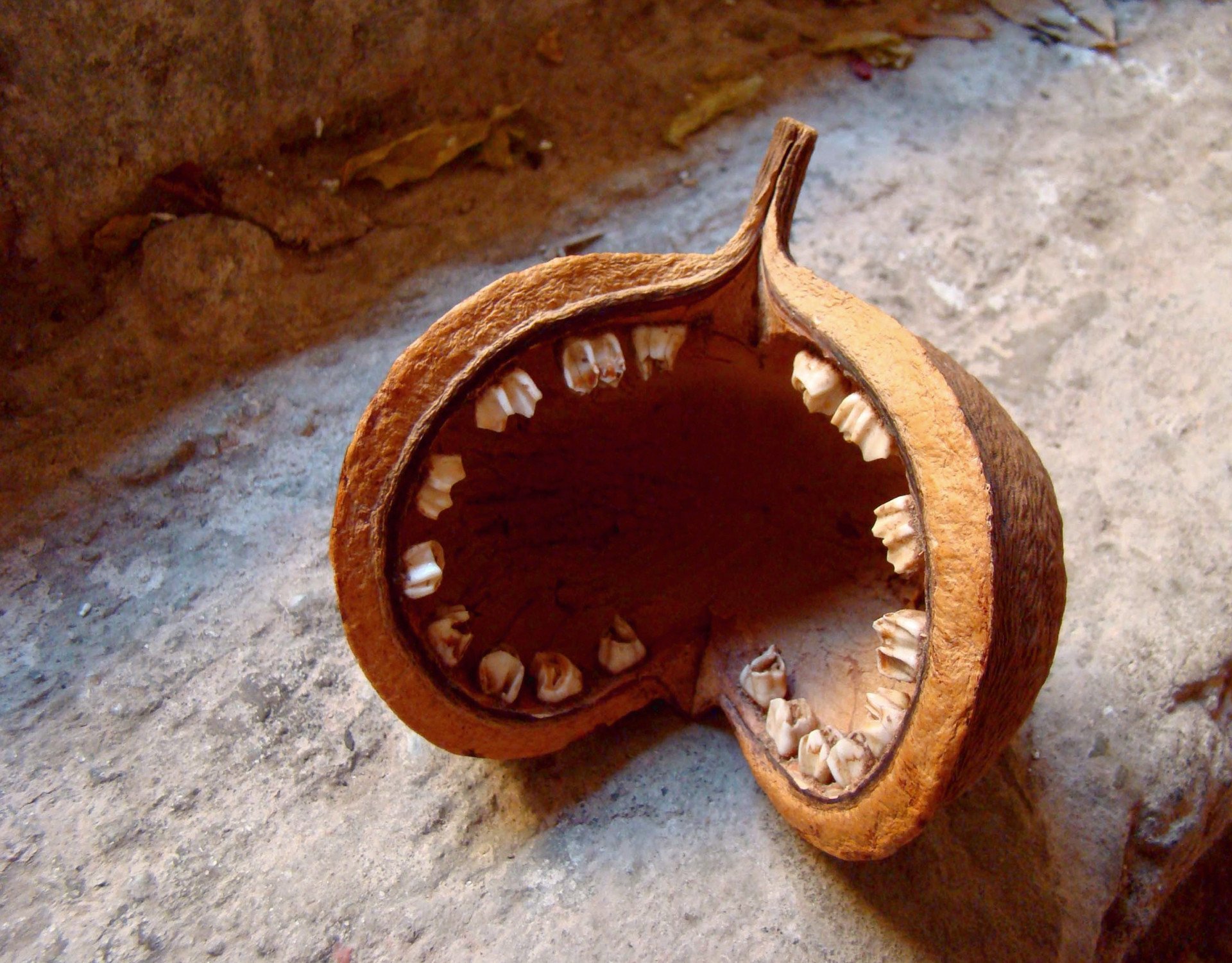 Sweet-talk Traveller in Time Sculpture - Patrik Šíma