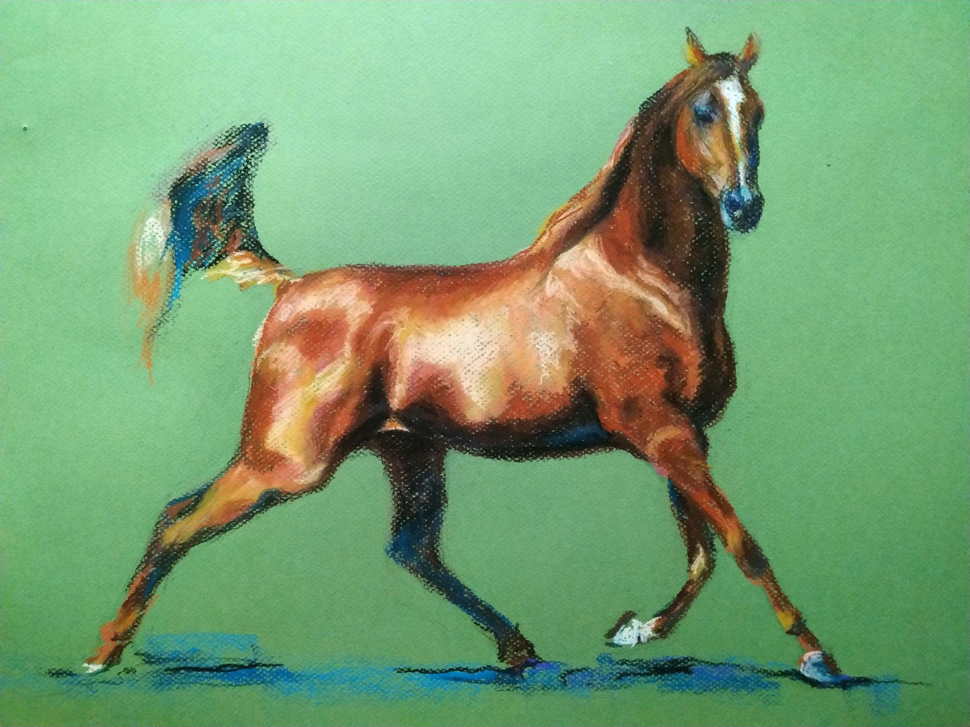 Red Drawing - Svetlana Barabash - Jose Art Gallery