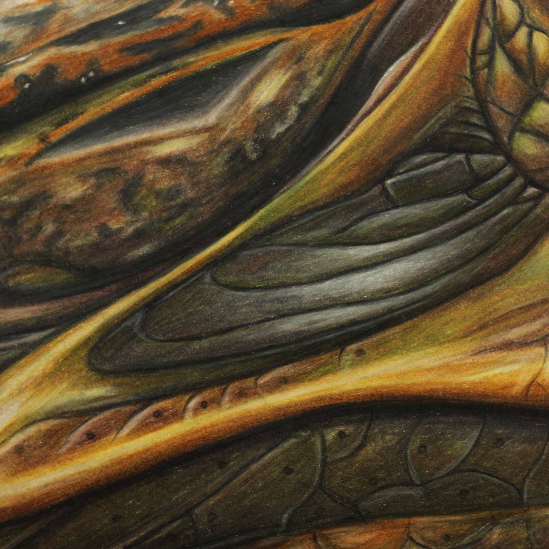 CROCO Drawing - Oleg Baran - Jose Art Gallery