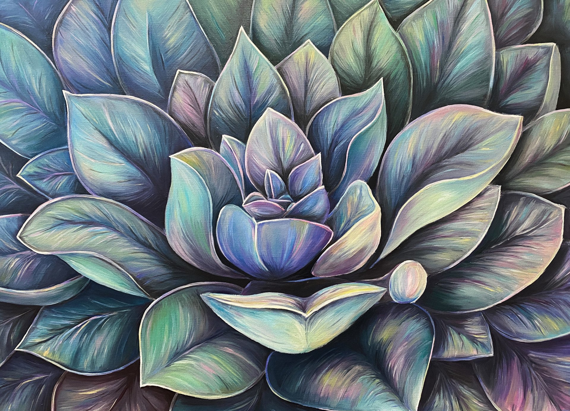 Succulent Art New Arrivals: A 'Coppertone Stonecrop' And Other