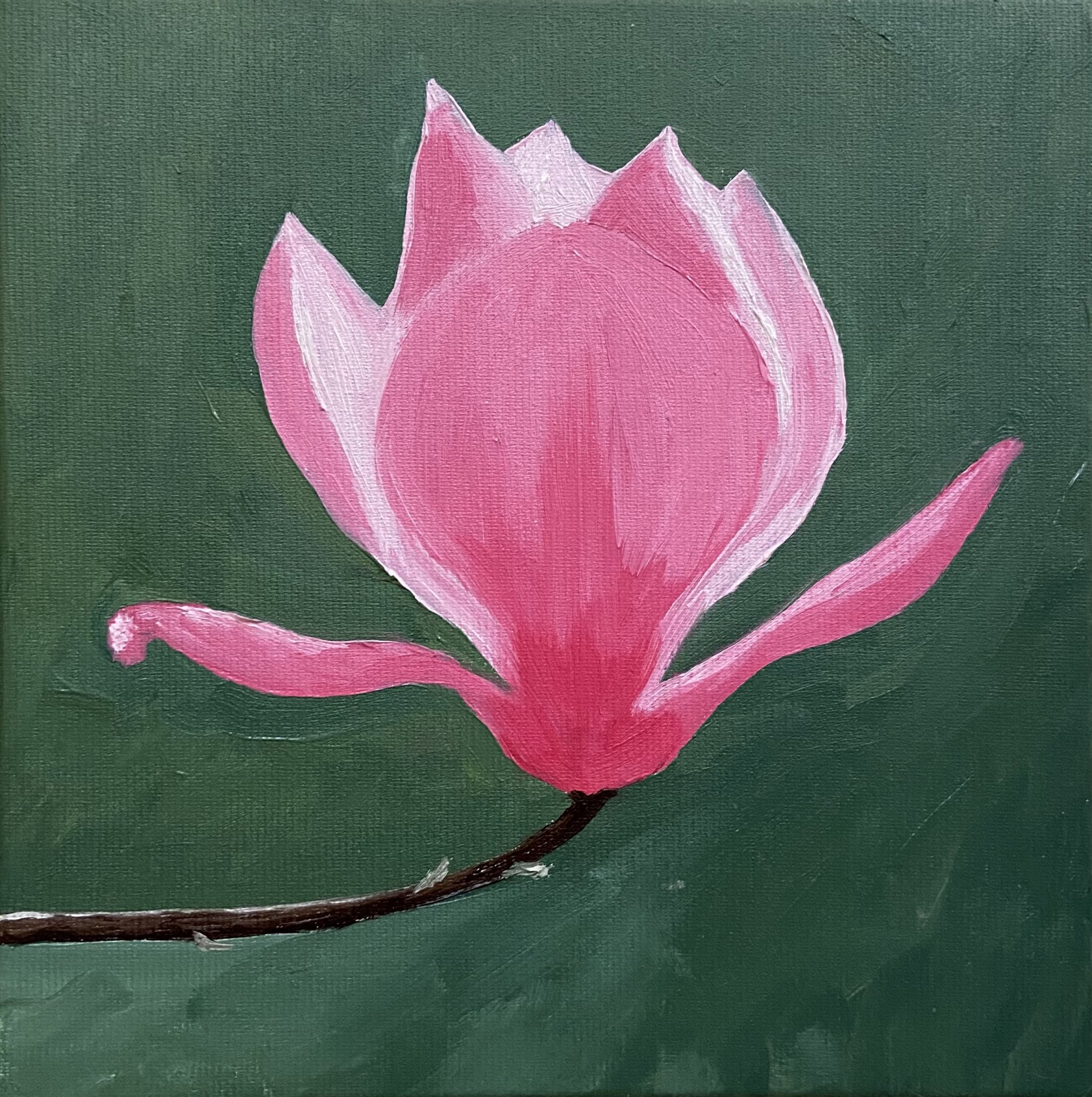 Magnolia Painting by Anastasiia Sukharieva