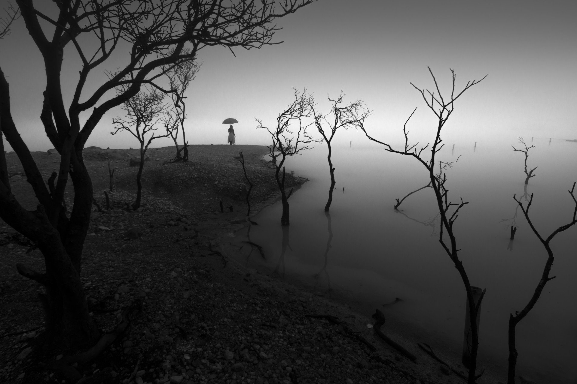 Infinity World Photography - Budi Rahardi - Jose Art Gallery