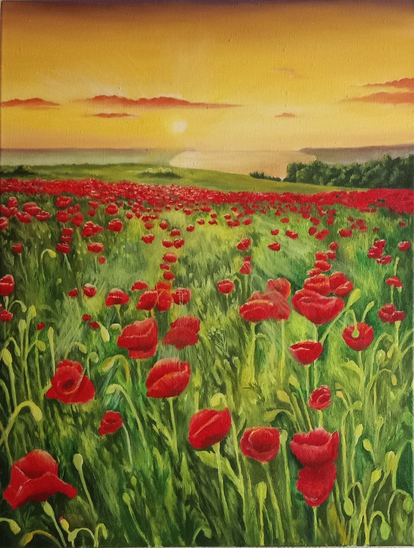 Poppy field at sunset Painting by Aleksandr Berezhnoy